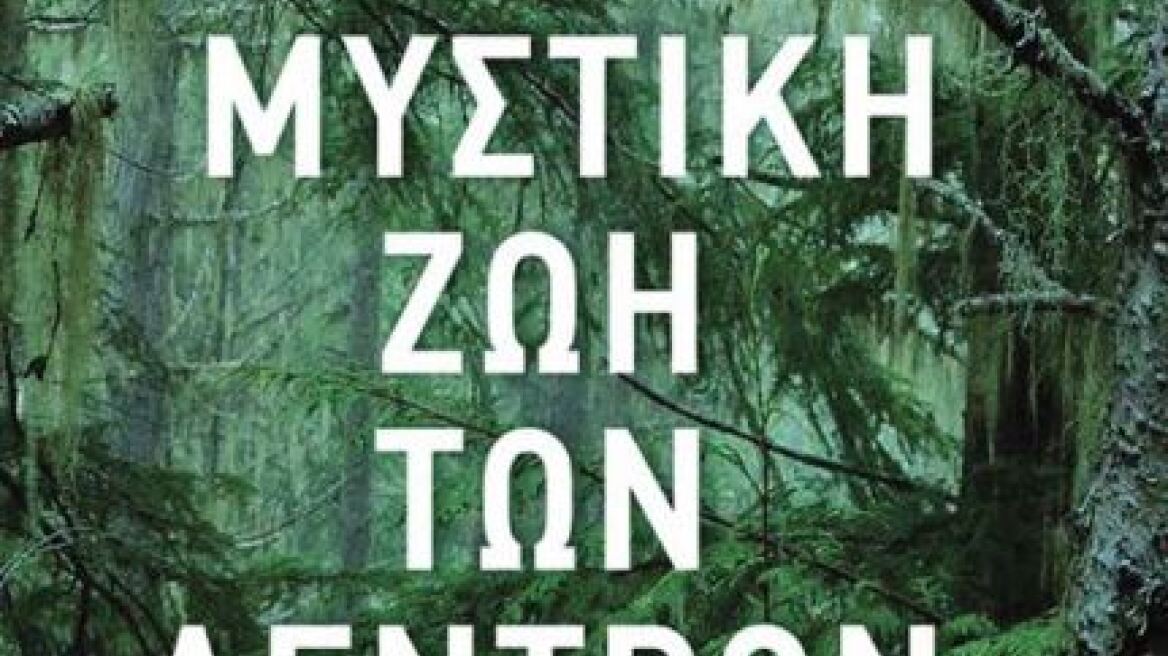 Γιατί η «Mυστική ζωή των δέντρων» είναι ένα σπουδαίο δοκίμιο