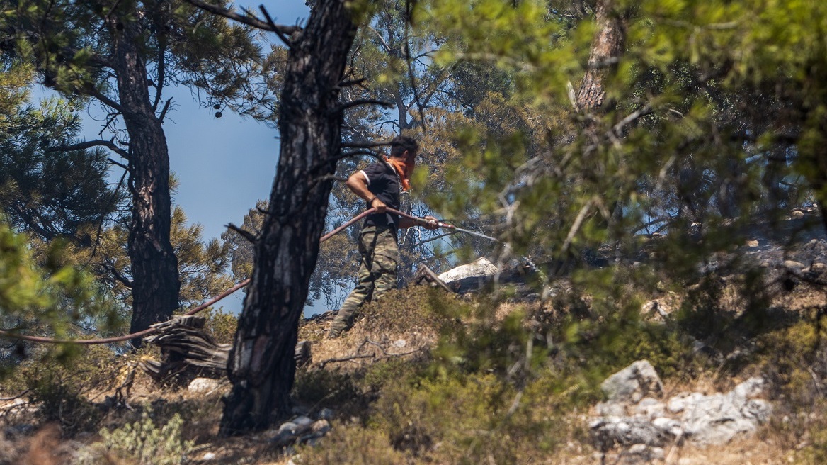 Απαγόρευση κυκλοφορίας σε δασικές περιοχές σε Χαλκιδική, Πέλλα και ...