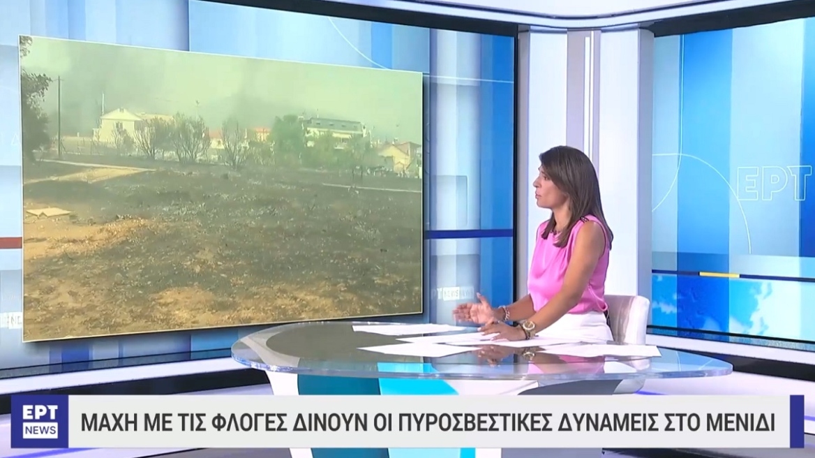 Αλεξάνδρα Δουβαρά: Σάλος με τη δήλωση ότι «δεν θρηνούμε ανθρώπινες ζωές ...