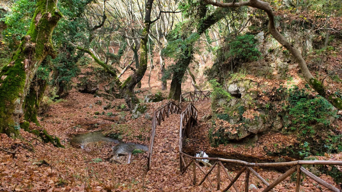 Μια μικρή «ζούγκλα», με τον δικό της υπέροχο καταρράκτη στην Καβάλα