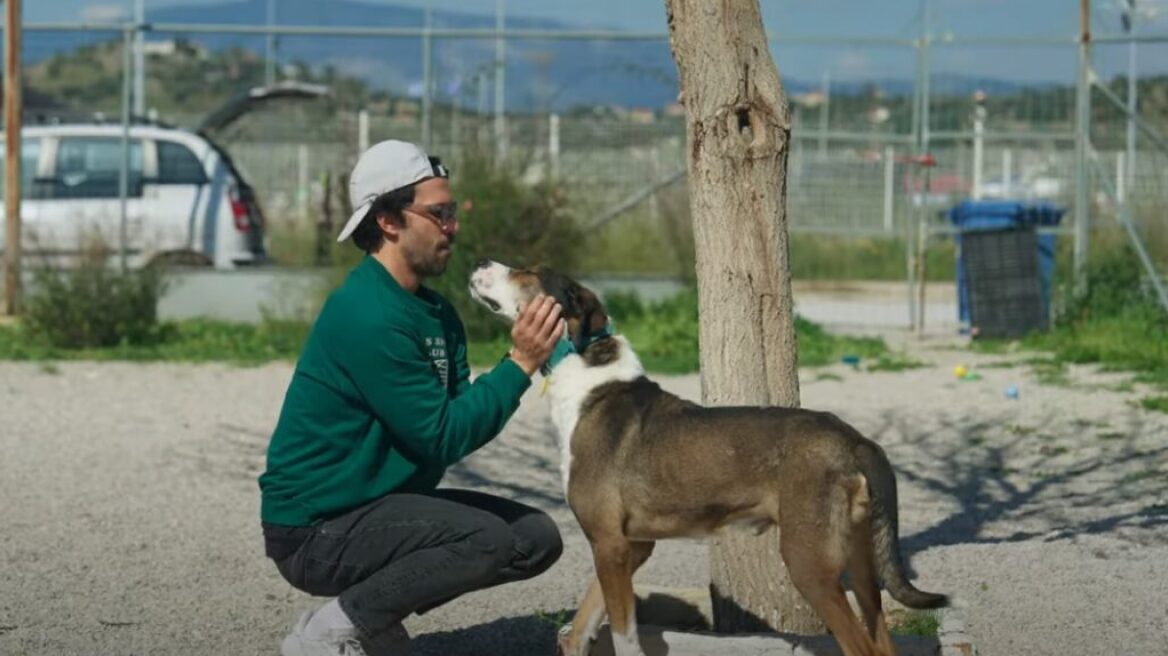 React Docuseries: Το 2ο επεισόδιο της digital σειράς είναι αφιερωμένο στους τετράποδους φίλους μας