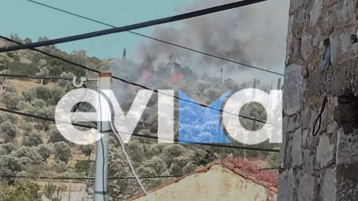 Φωτιά στην περιοχή Δάφνη Αυλωναρίου στην Εύβοια