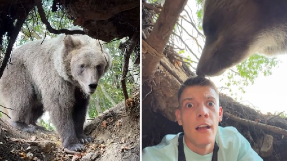 Σέρβος influencer που τραβούσε βίντεο από φωλιά αρκούδας βρέθηκε ...