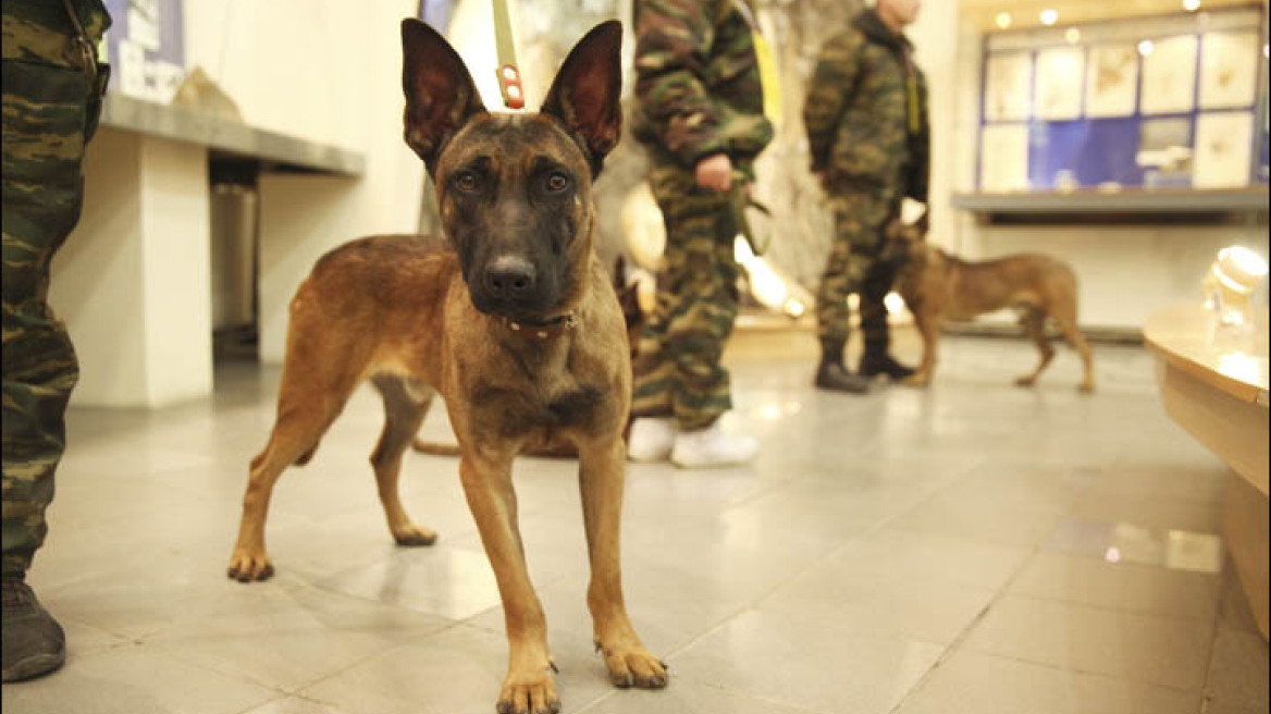 Cloned dogs join Russian army! (photos)