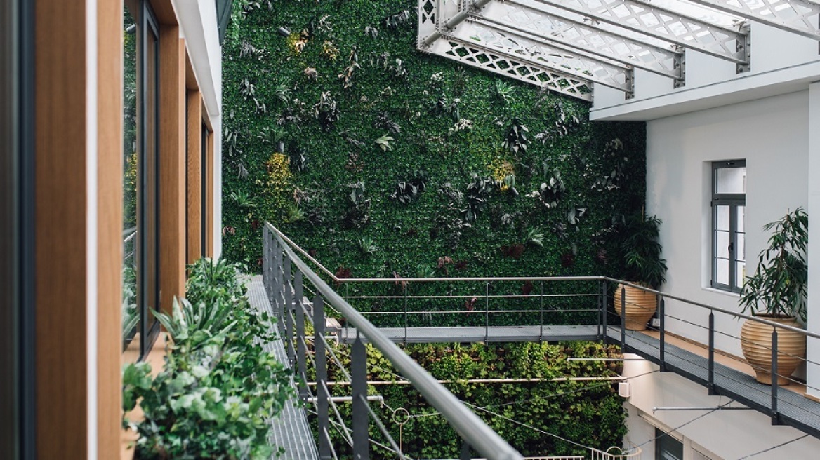 Ένας κάθετος κήπος με μυρωδικά στο κέντρο της Αθήνας