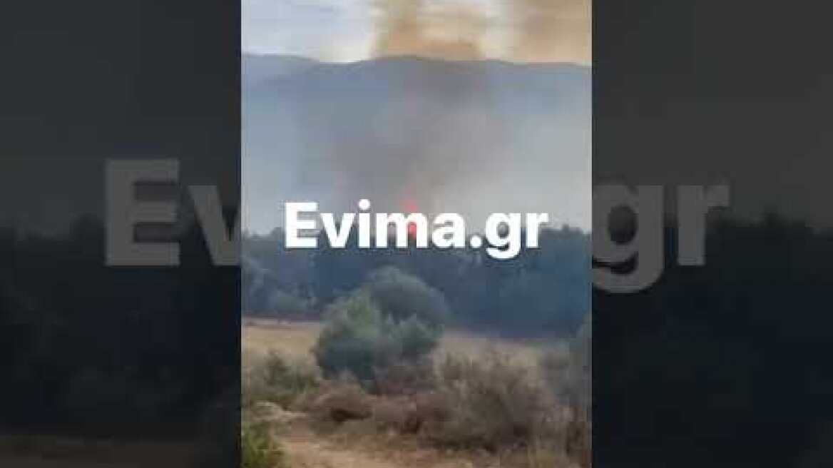 Φωτιά από κεραυνό στην Εύβοια - Σπεύδουν δυνάμεις στην Αγία Θέκλα Αλιβερίου