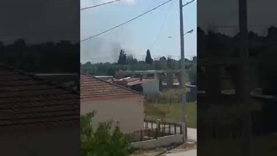 WebTV - tempo24.news ΦΩΤΙΑ - ΚΑΤΩ ΑΧΑΙΑ