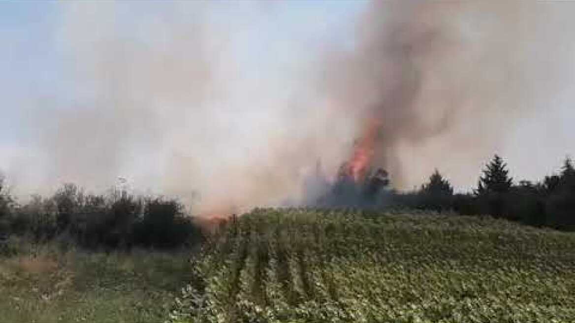 Φωτιά στο Διδυμότειχο κοντά σε κατοικημένη περιοχή - Δείτε βίντεο