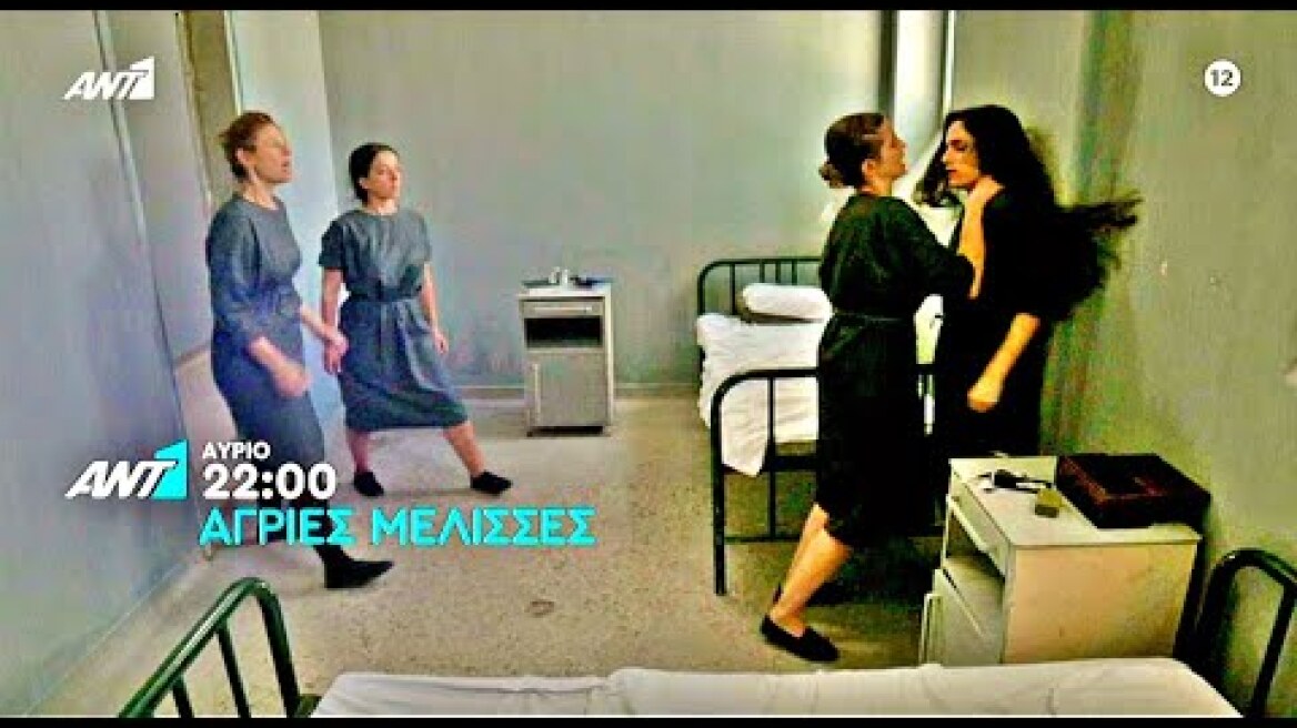 WebTV - ΑΓΡΙΕΣ ΜΕΛΙΣΣΕΣ - Β ΚΥΚΛΟΣ - ΕΠΕΙΣΟΔΙΟ 19 (8/10/2020) TRAILER