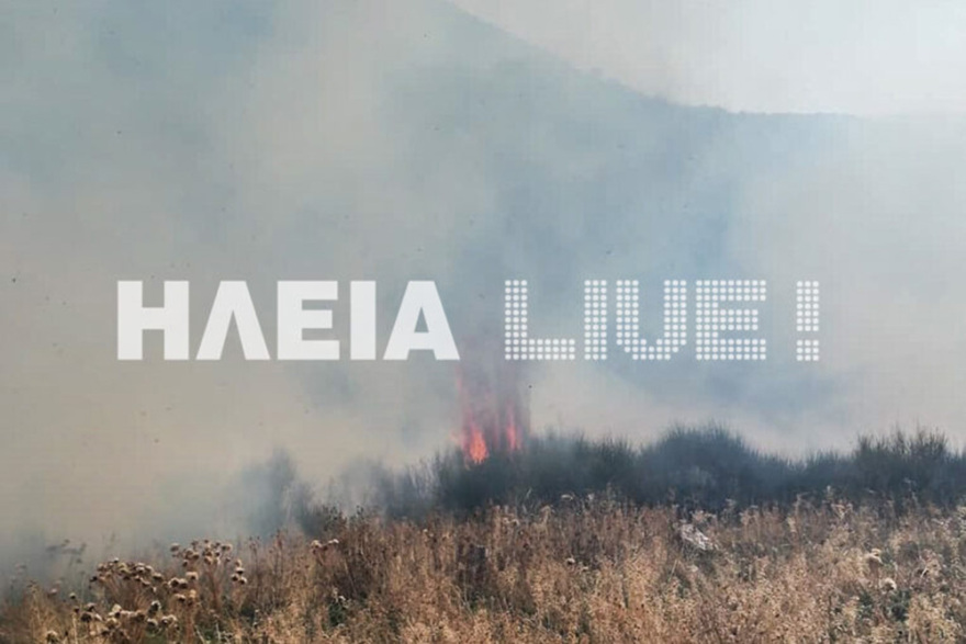 Φωτιά σε δασική έκταση στο Κακοτάρι Ηλείας