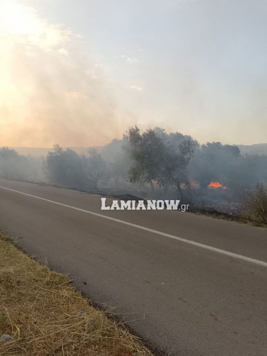 Υπό μερικό έλεγχο η φωτιά στη Λαμία - Μεγάλη κινητοποίηση της Πυροσβεστικής