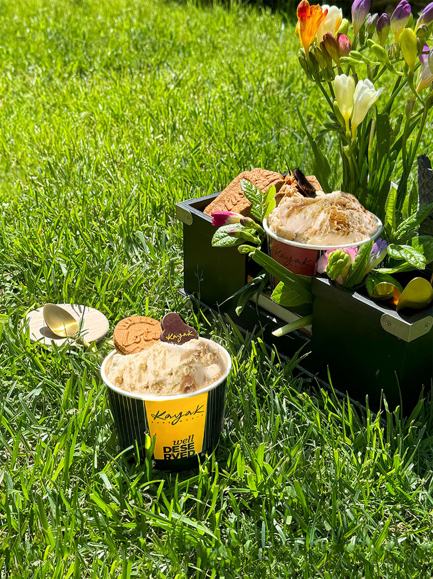 Kayak Ice Cream New Flavors