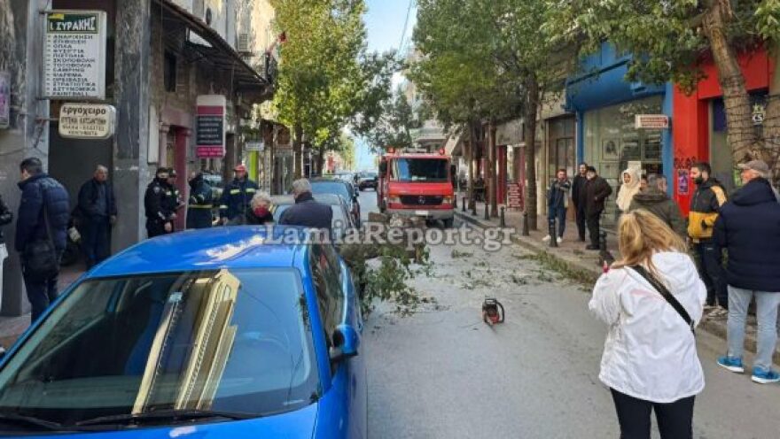 Λαμία: Μεγάλο δέντρο έπεσε πάνω σε αυτοκίνητα στο κέντρο και έκλεισε ...